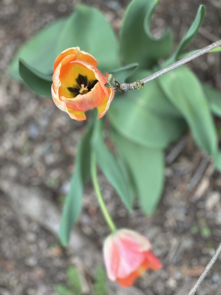 I Don't Know If I Need Therapy. How Do I Know If I Need Therapy ...