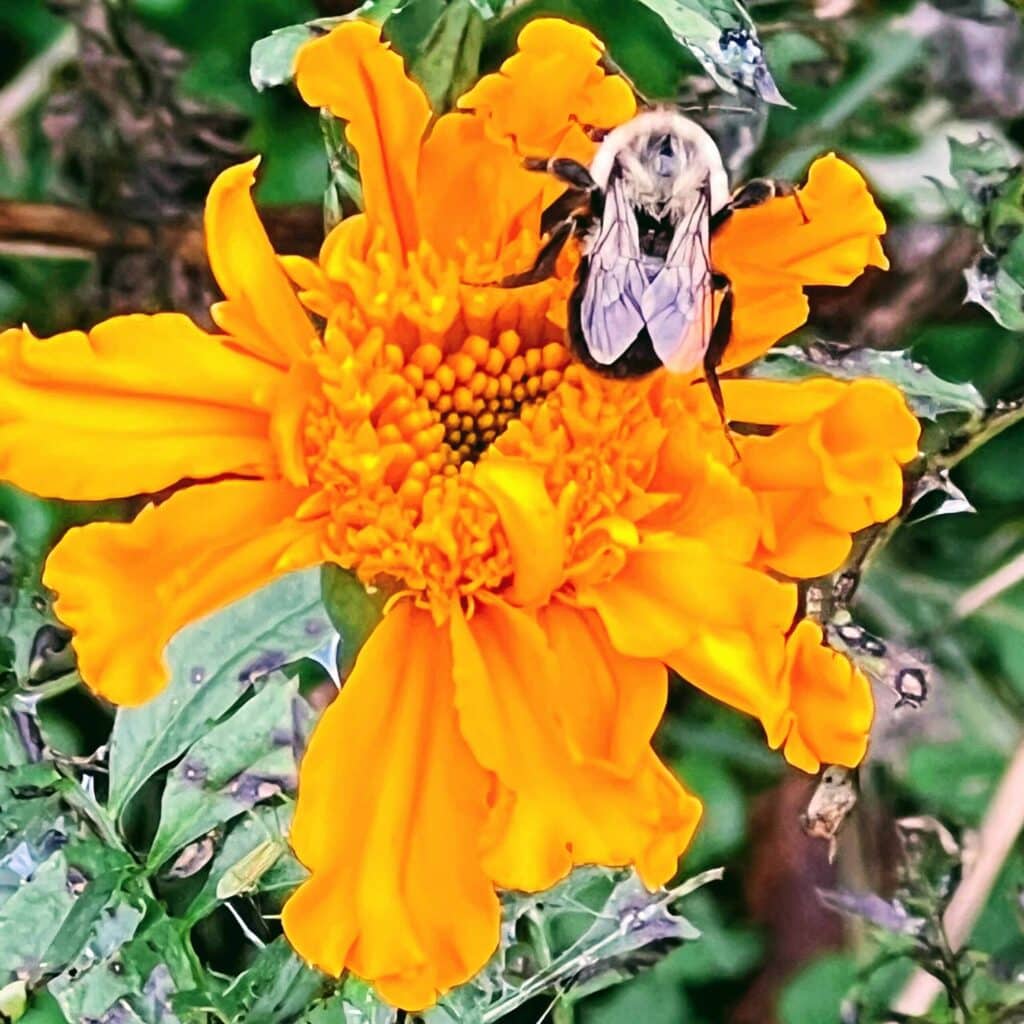 The Benefits of Cognitive Behavioral Therapy for Depression and Low ...